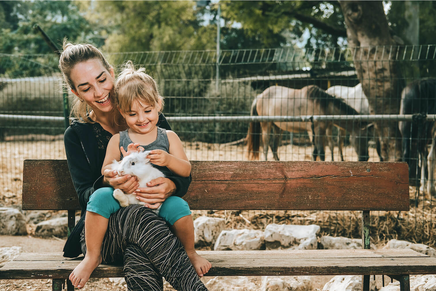 Immunization Schedule - Parents and Parenting - The Ministry of Health